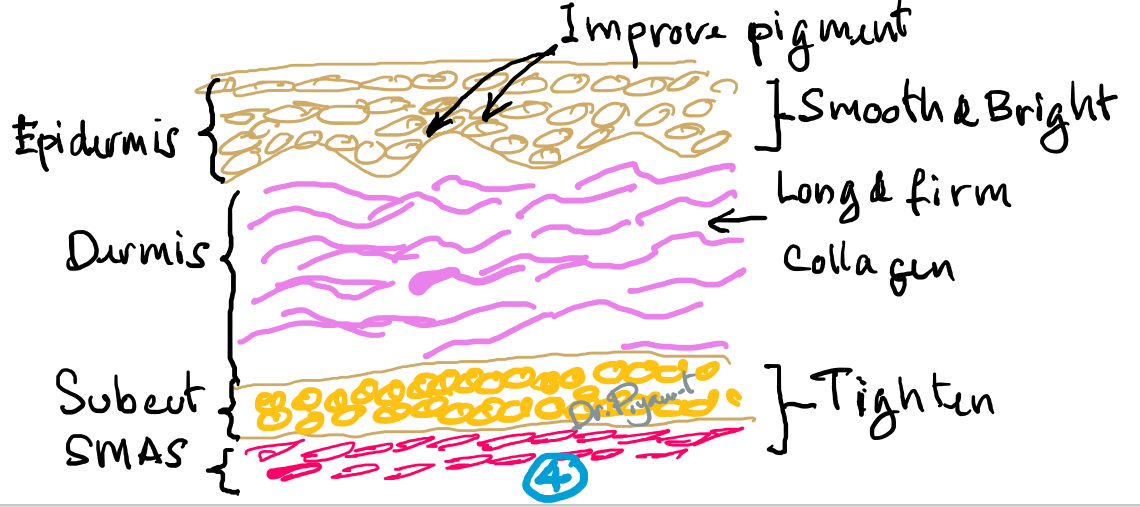 Cell Youth - Piyawat Clinic